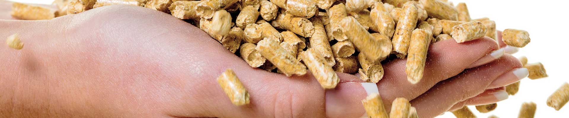 Comment bien choisir les meilleurs pellets de bois ? Palette-pellets.be