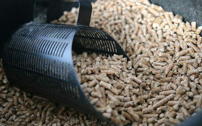 Le prix du pellet en Belgique aujourd’hui. Info actualisée